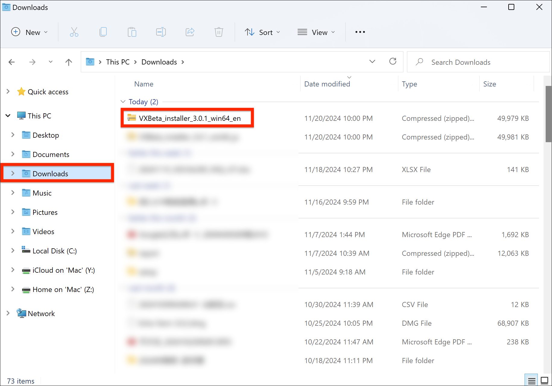 [ FREE BUNDLE ]VX Beta Installation and Authorization (Windows ...
