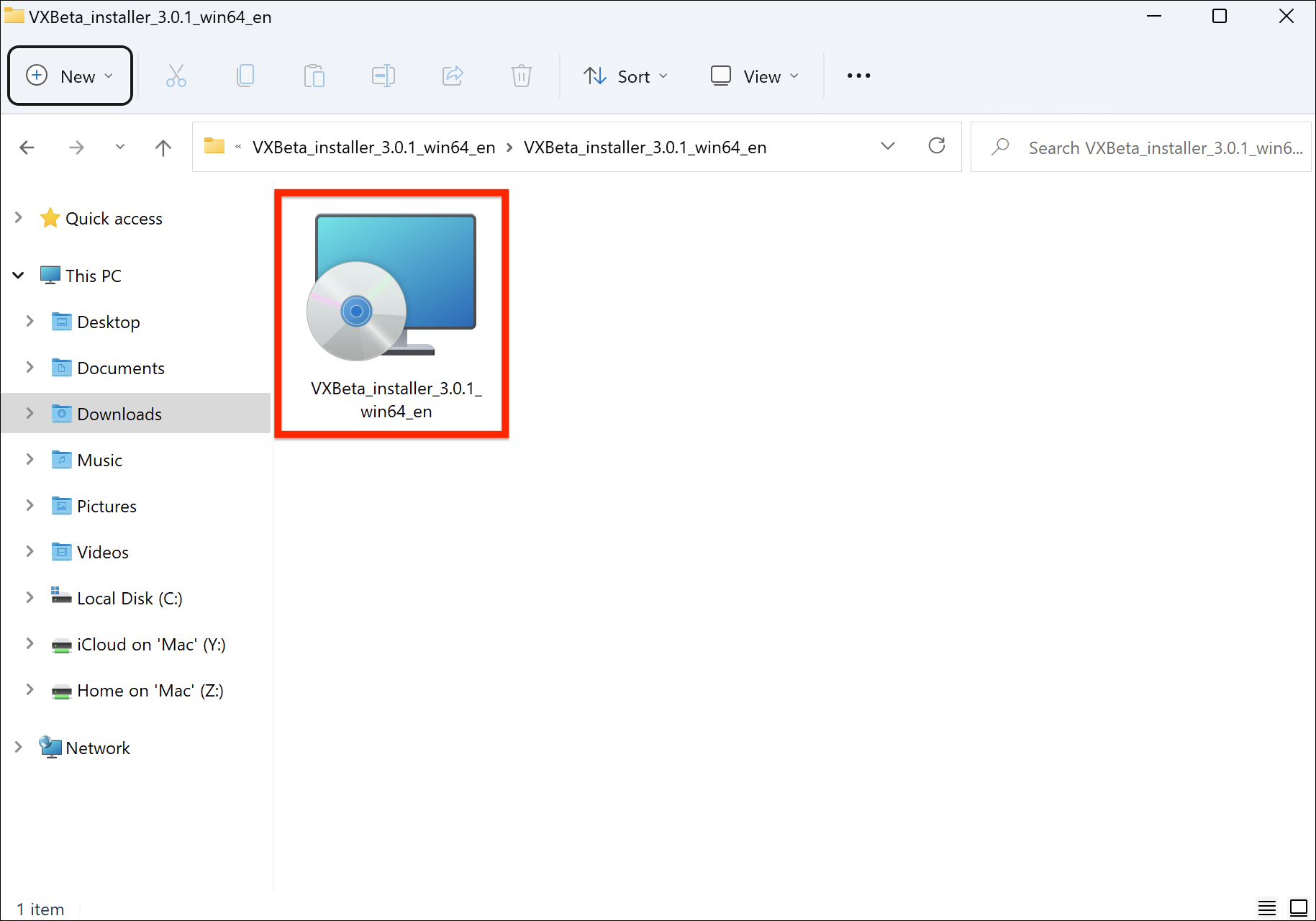 [ FREE BUNDLE ]VX Beta Installation and Authorization (Windows ...